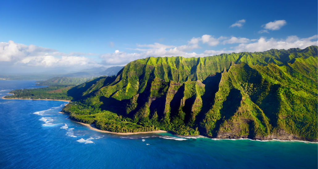 Travel Now - Flights From Home